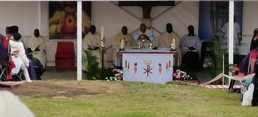 A Moment of Grace: Celebrating the New Statue of Our Lady in Ngome ...