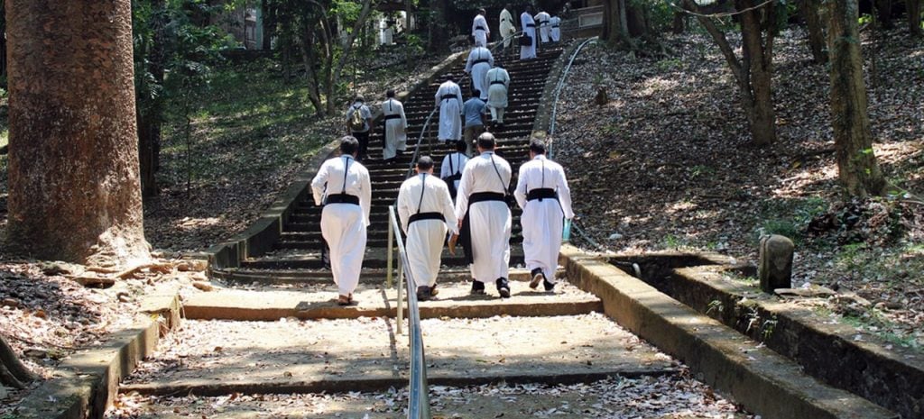 Online session for directors and animators of ongoing formation | OMI World